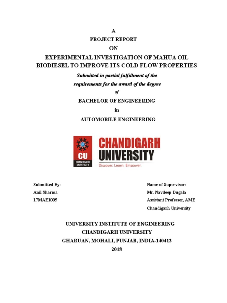 Project Report Sample | PDF | Biodiesel | Diesel Fuel