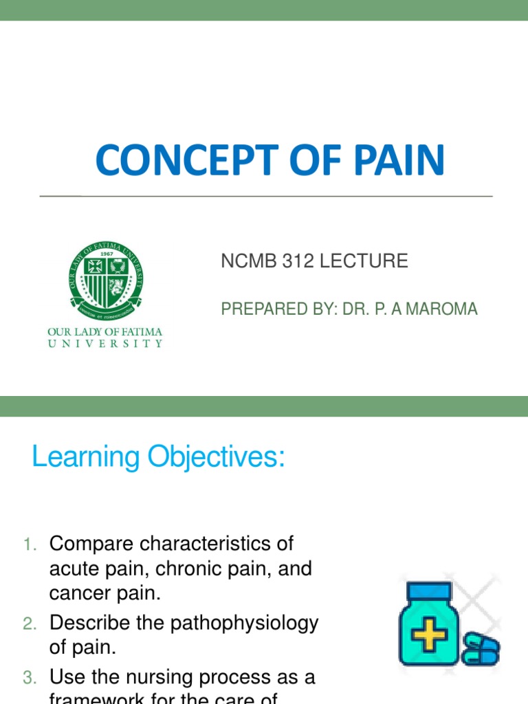 Comprehensive Overview of Pain Management Concepts and Approaches | PDF ...