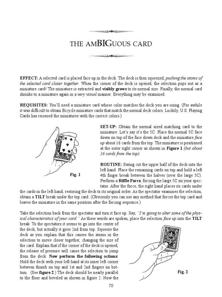 The AmBIGuous Card | PDF | Hand | Leisure