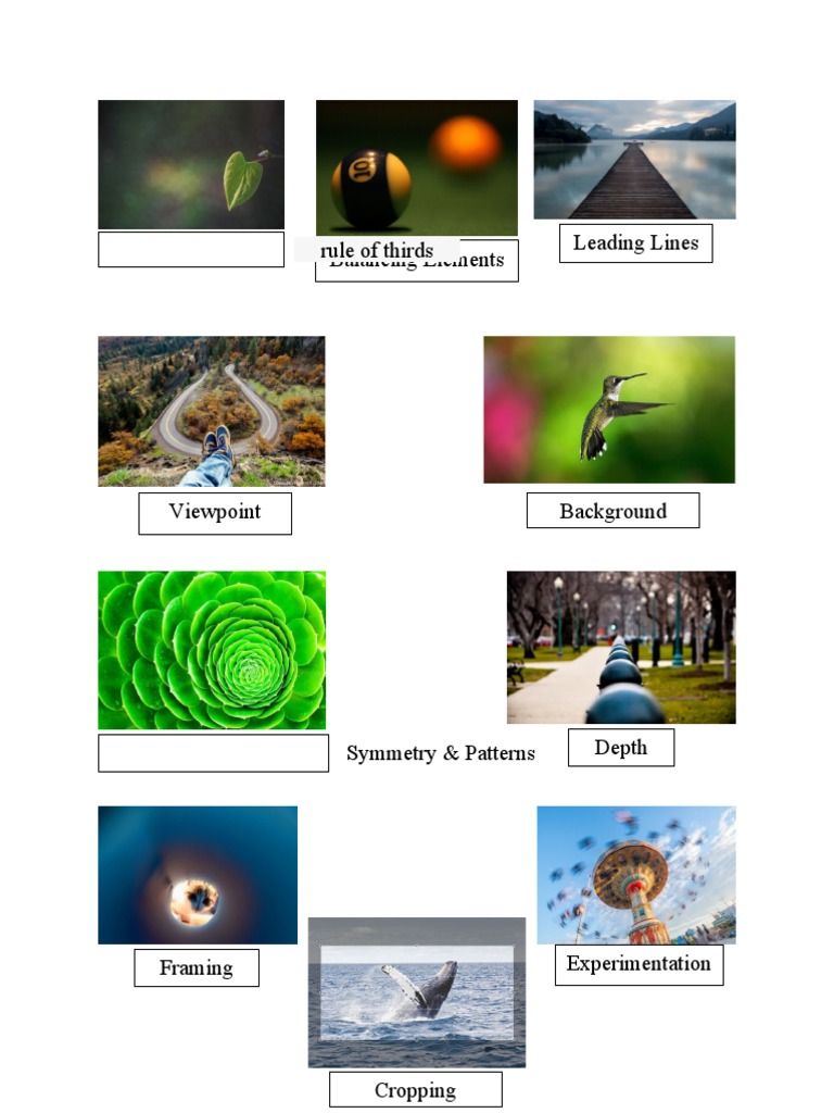 Balancing Elements Leading Lines Rule of Thirds | PDF
