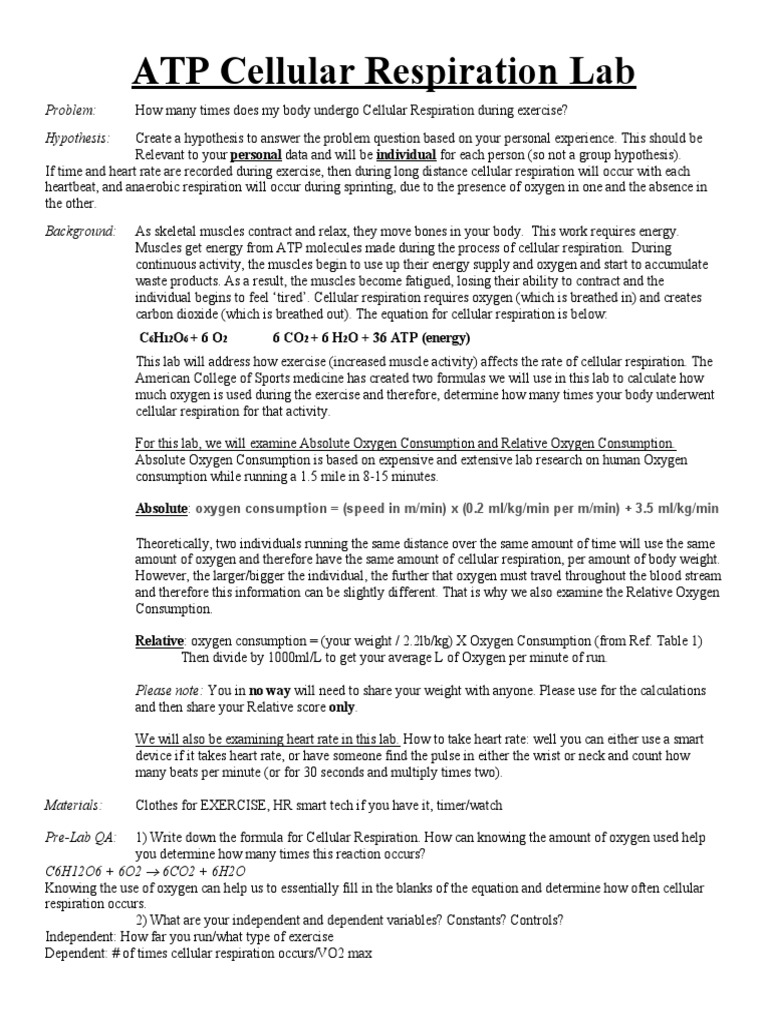 Ap Atp Cellular Respiration Lab 2020 | PDF