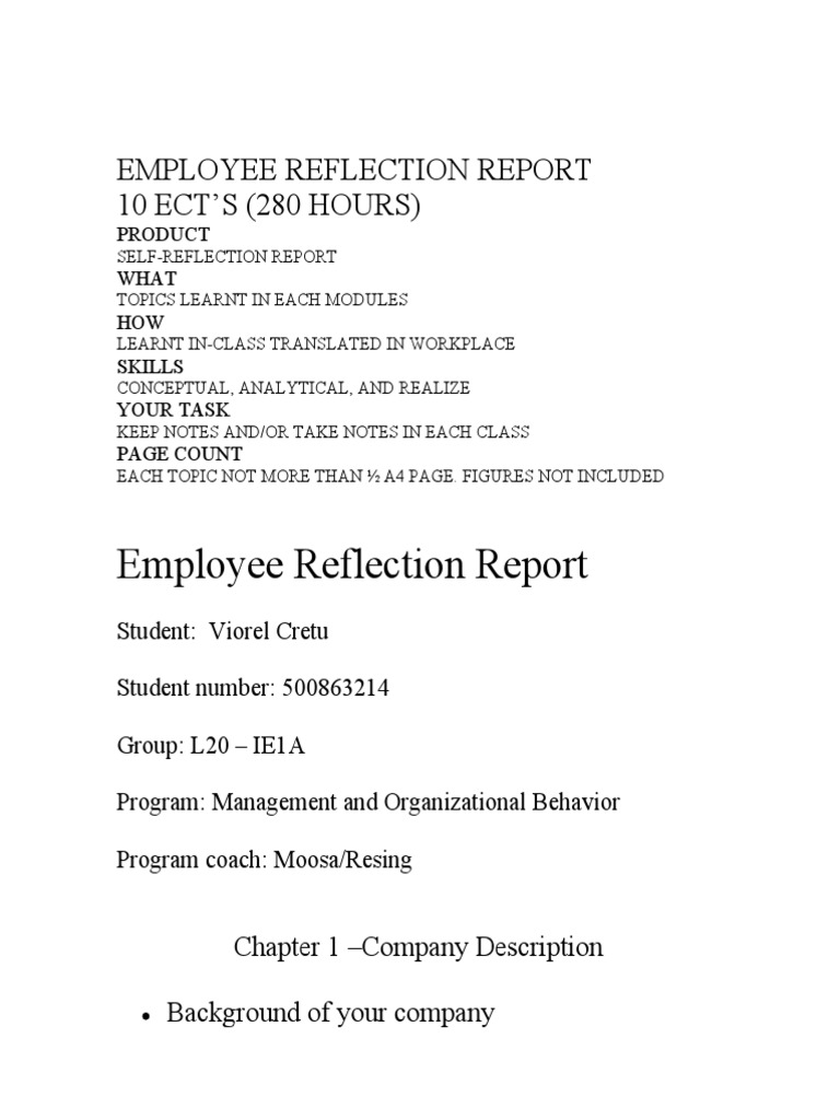 Employment Reflection Report | PDF | Reinforcement | Motivation