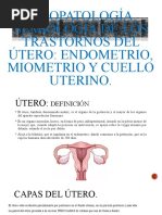 Pae Absceso Submentoniano | PDF | Enfermería | Medicina