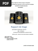 Rapport de stage chez Sonatrach TRC | PDF | Gaz naturel | Transport