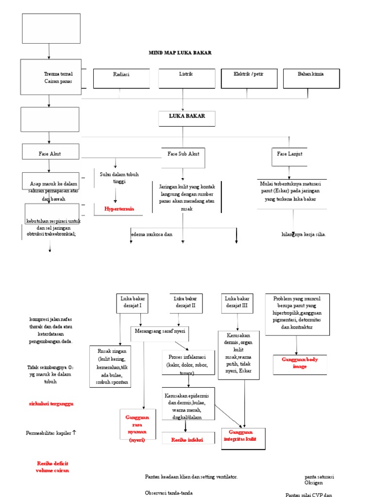 Mind Map Luka Bakar | PDF