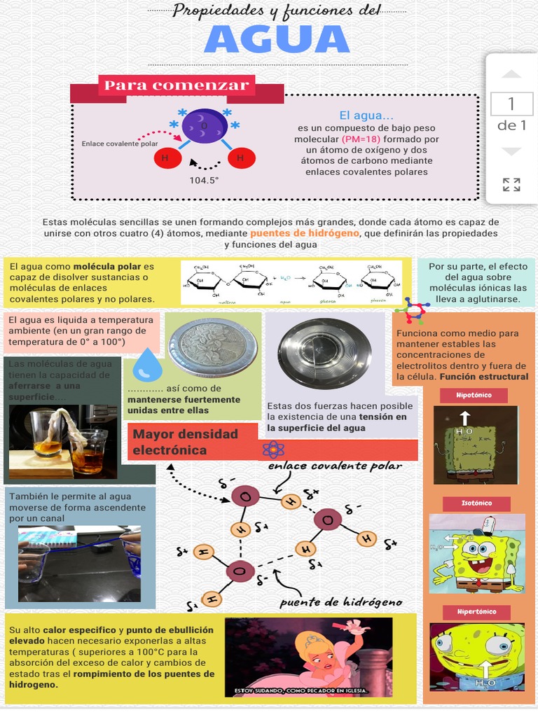 Infografia Propiedades y Funciones Del Agua PDF | PDF | Propiedades del agua | Polaridad química