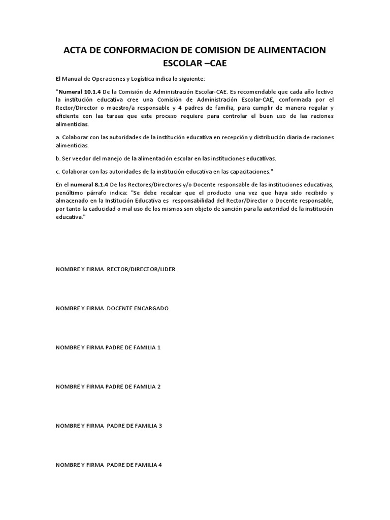 Acta de Conformacion Cae | PDF