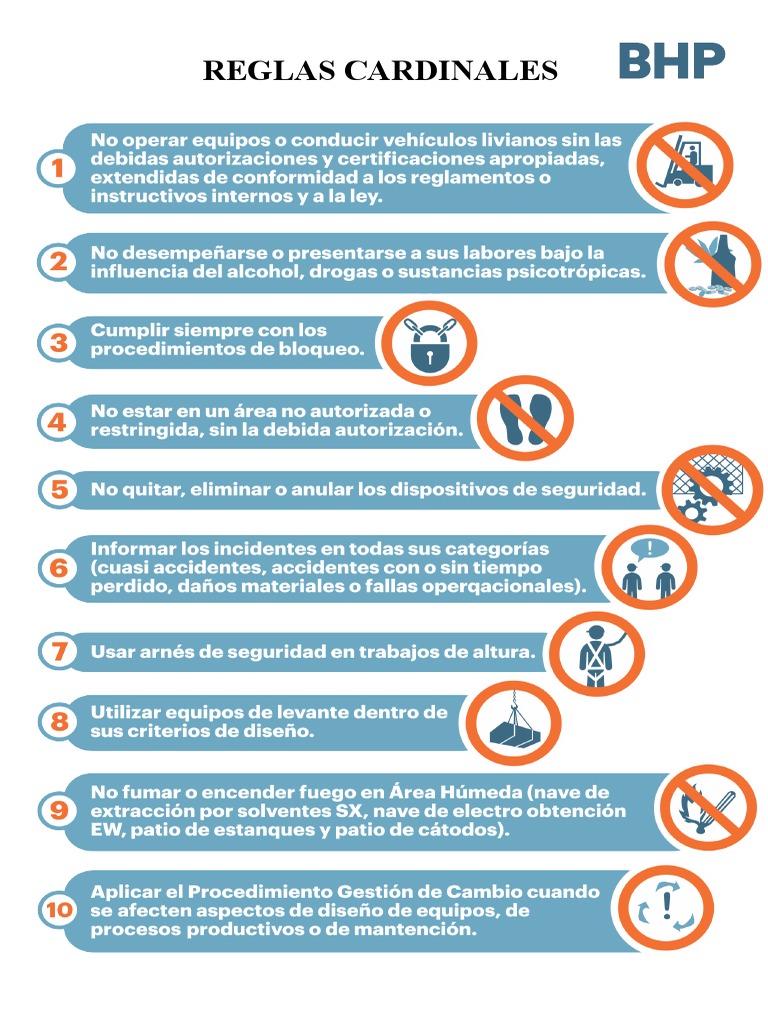 Afiche Reglas Cardinales | PDF