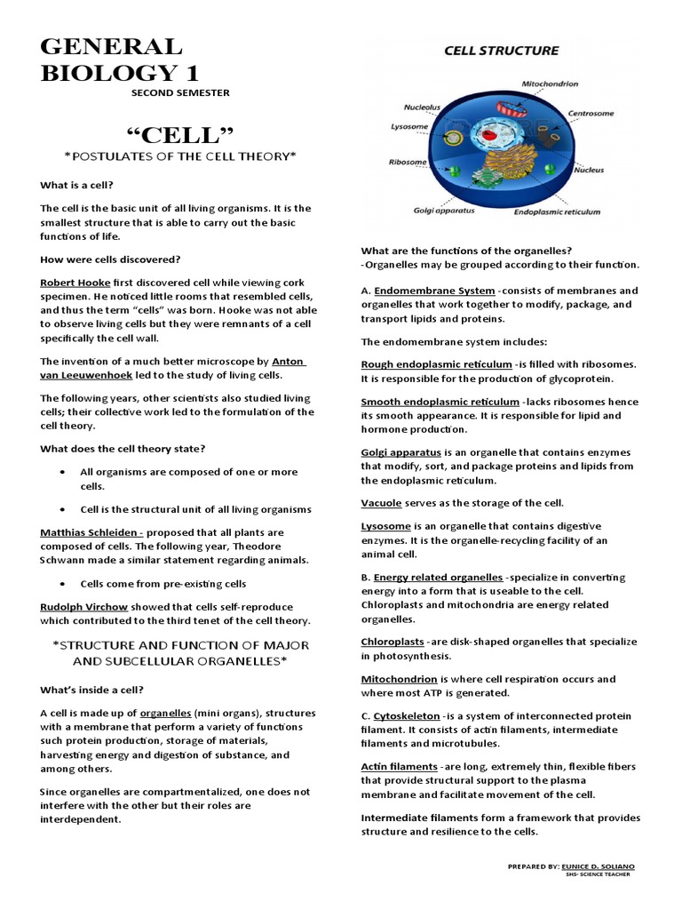 General Biology 1 "CELL": Postulates of The Cell Theory | PDF | Meiosis ...