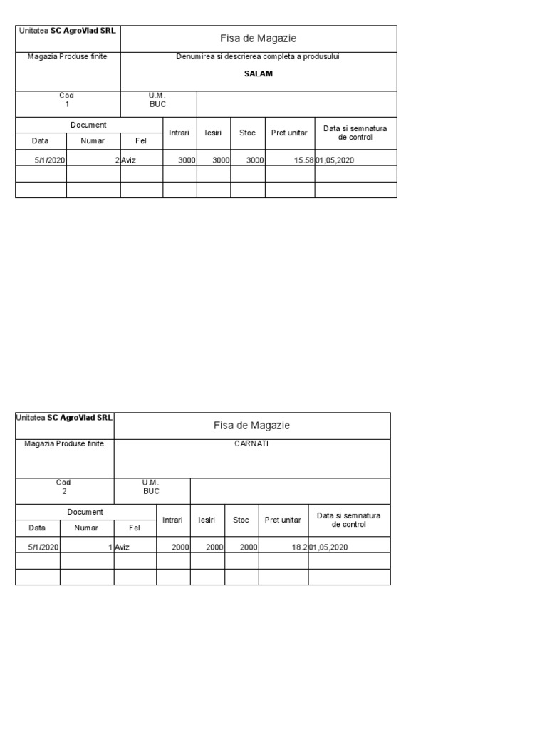 Model Fisa de Magazie in Excel | PDF