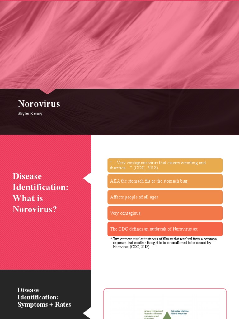 Norovirus | PDF | Virus | Epidemiology