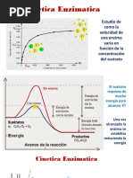 Enfoque Diagnóstico de TP y TTP Prolongado | PDF | Coagulación ...
