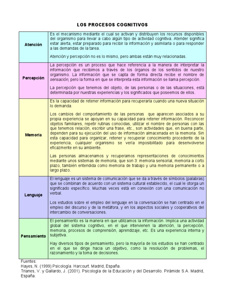 Los Procesos Cognitivos | PDF | Memoria | Percepción