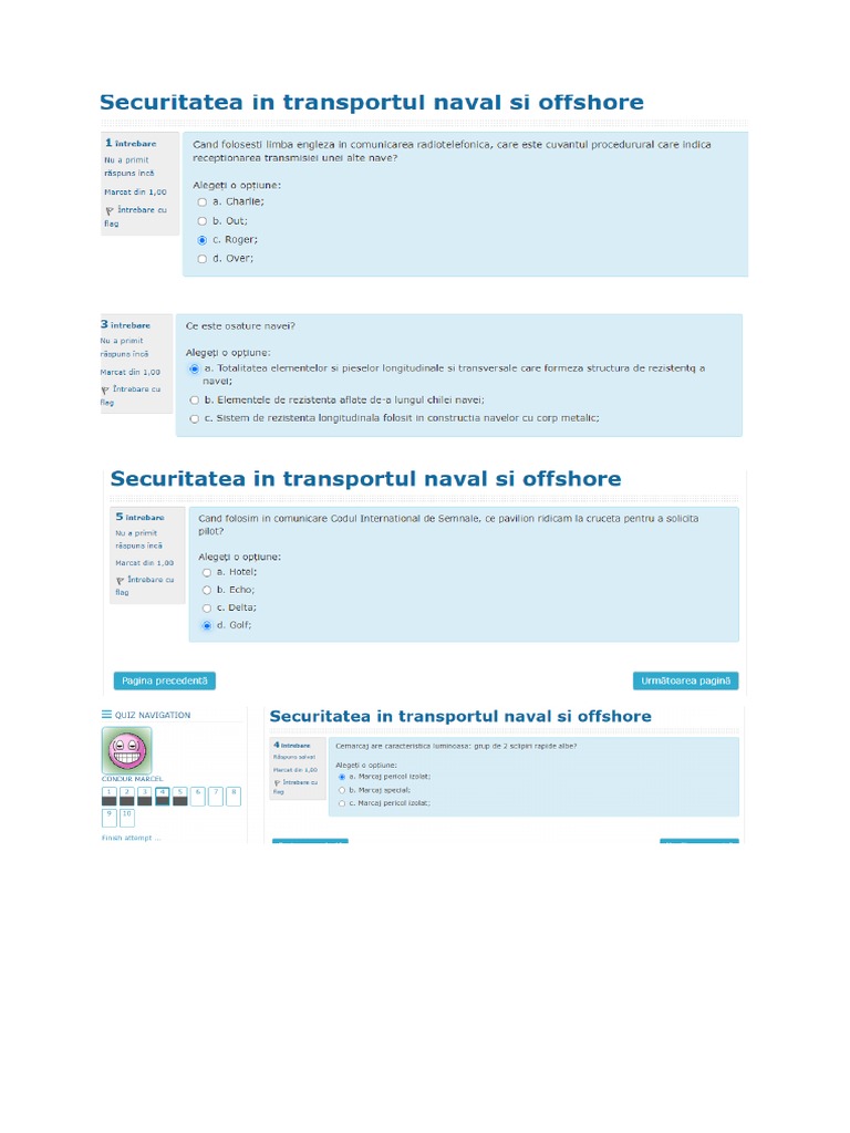 Grile Securitatea in Transportul Naval Si Offshore | PDF