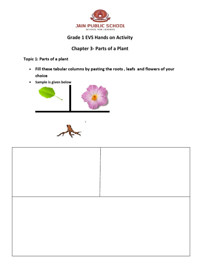 Grade 1 EVS Hands On Activity Chapter 3-Parts of A Plant | PDF
