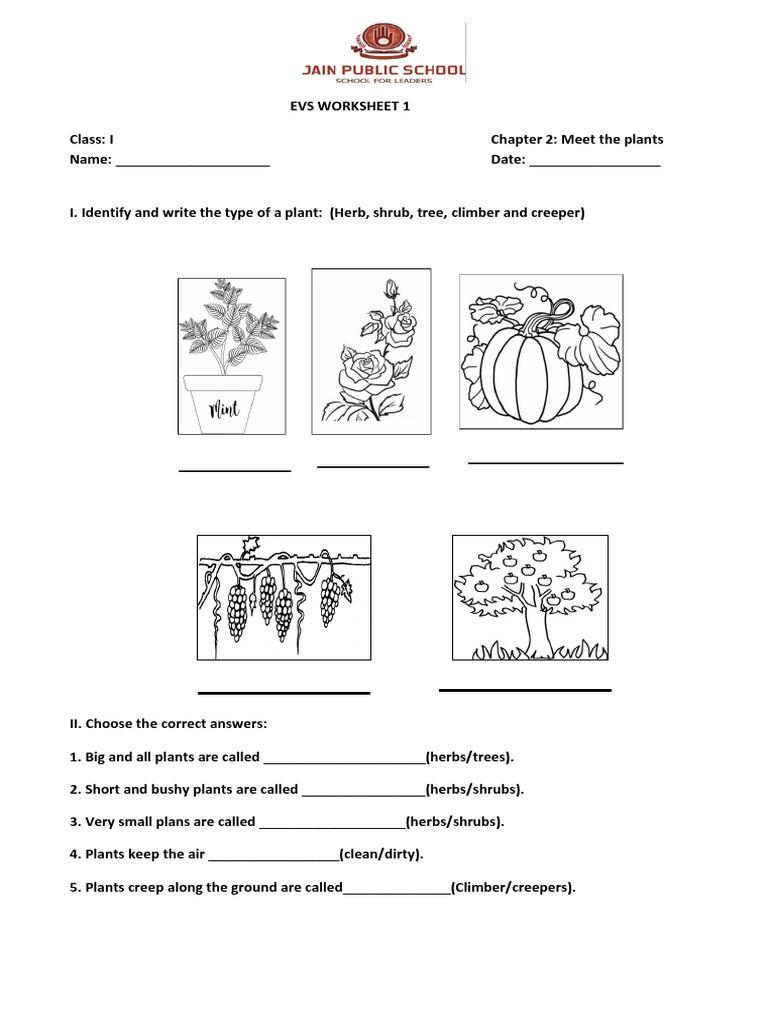 Grade 1 EVS Worksheet 1 - Chapter 2 | PDF
