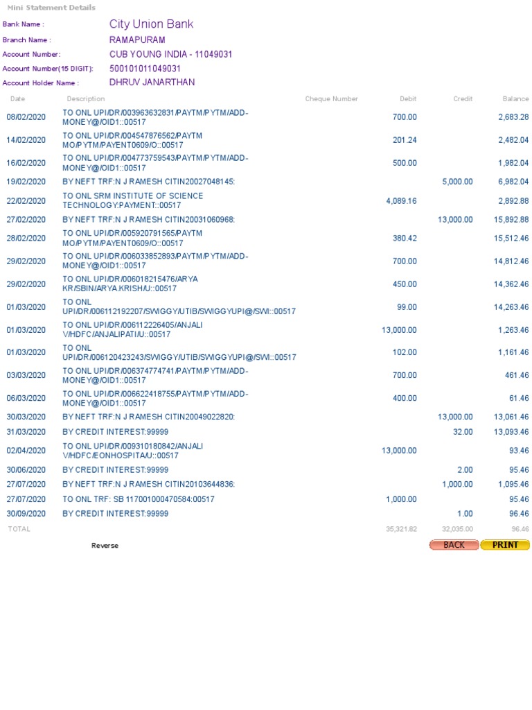 CUB - Account Details | Download Free PDF | Service Industries ...