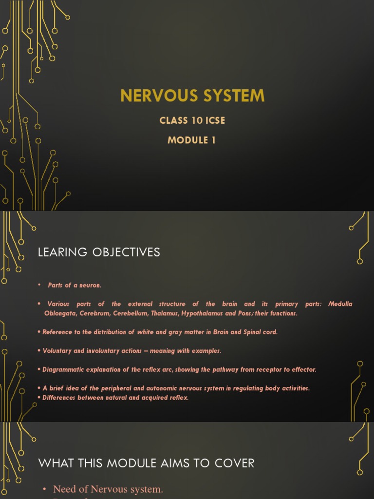 Nervous System Module 1 PDF | PDF | Neuron | Axon