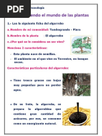 Huapo Colorado: Características y Conservación | PDF