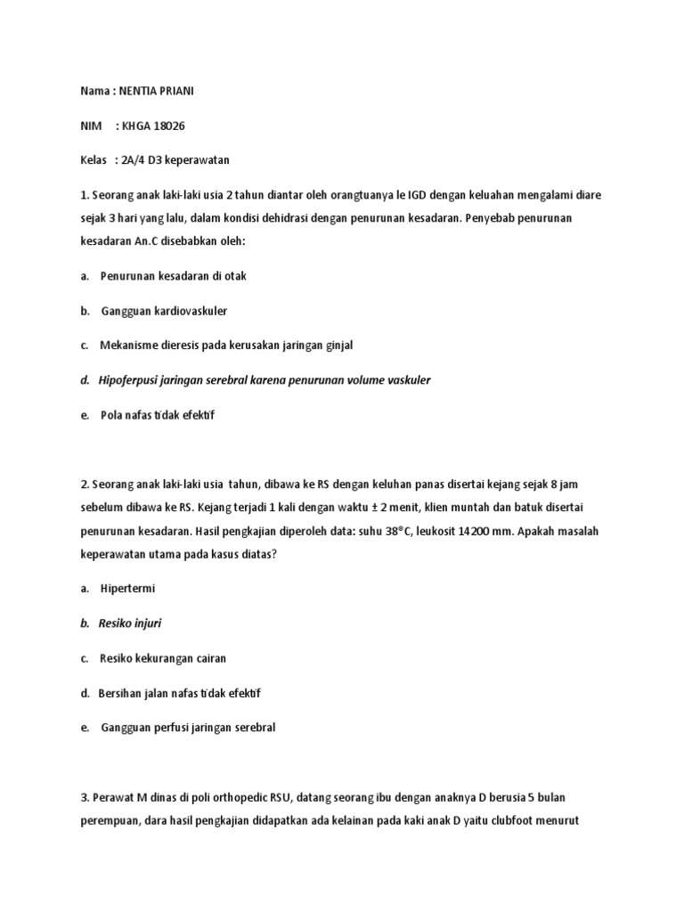 Nentia Priani (A18026) | PDF