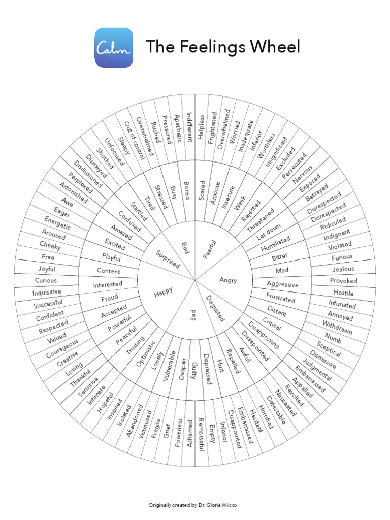 The Feelings Wheel: Un Foc Use D S e S Aye D I Lu I e P PL | PDF
