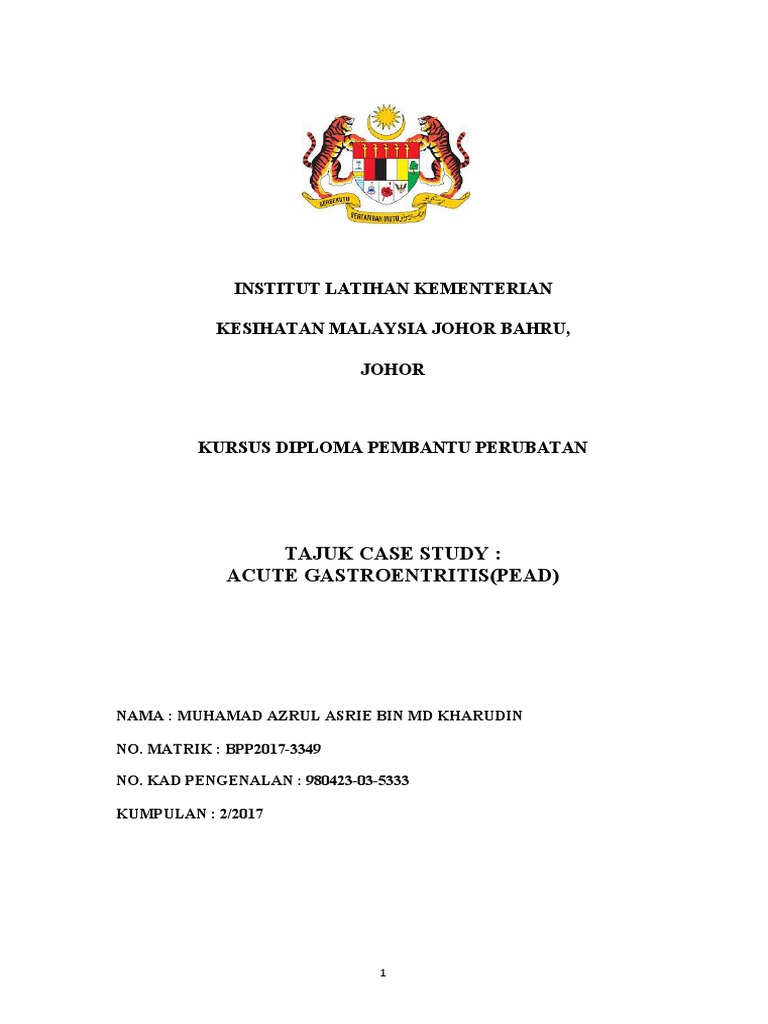 Case Study PPP | PDF