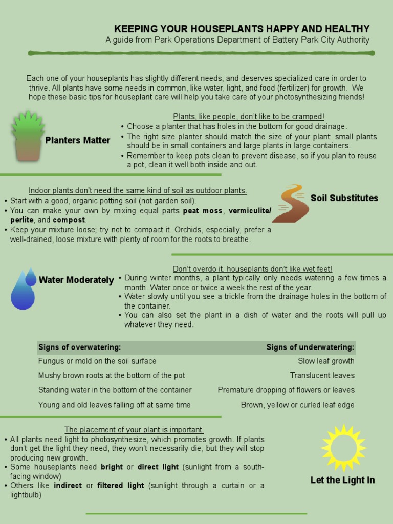 Keeping Your Houseplants Happy and Healthy | PDF | Houseplant | Landscape