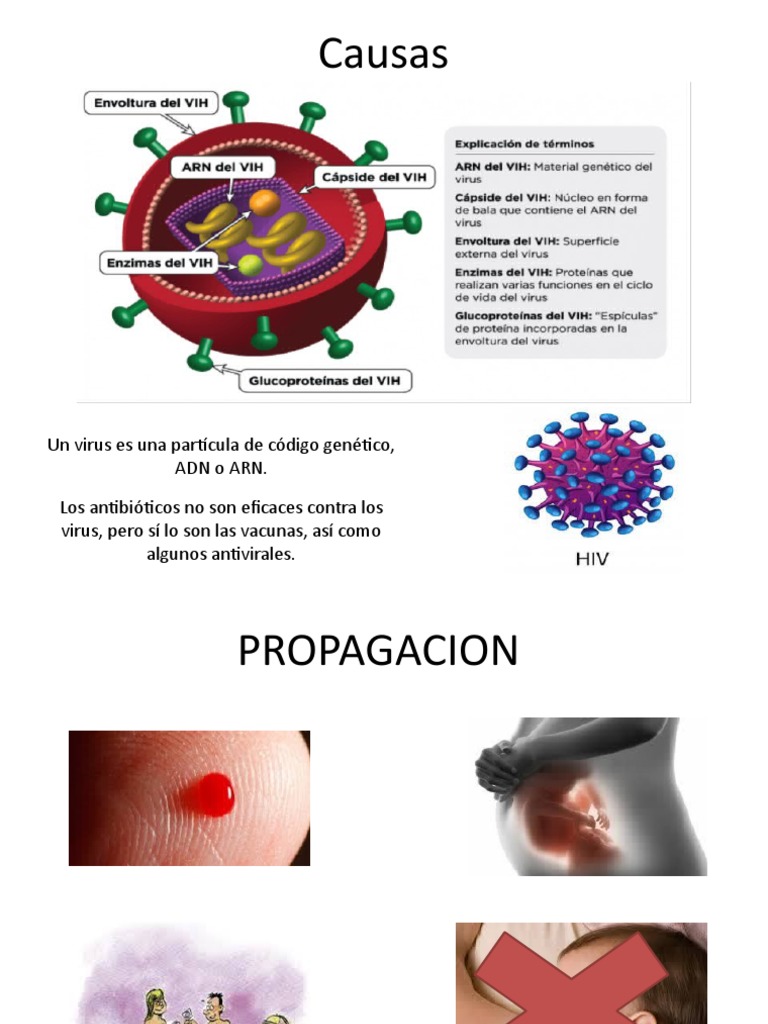 Causas VIH | PDF