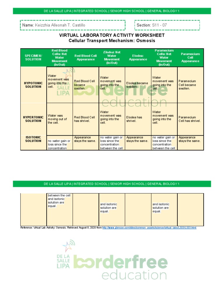 Virtual Laboratory Worksheet-Cellular Transport Mechanism | PDF | Life ...