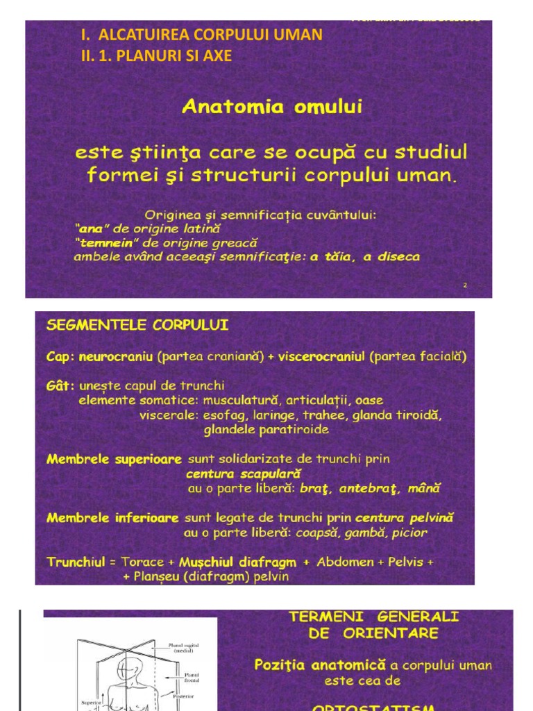 Presentation PLANURI SI AXE - REGIUNI SI RAPORTURI ANATOMICE | PDF