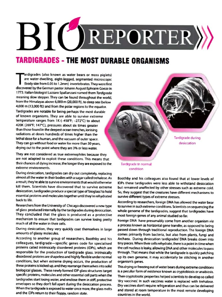 The Incredible Survival Abilities of Tardigrades: Nature's Most Durable ...