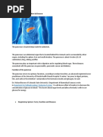 Nclex Notes | PDF | Congenital Heart Defect | Heart Failure