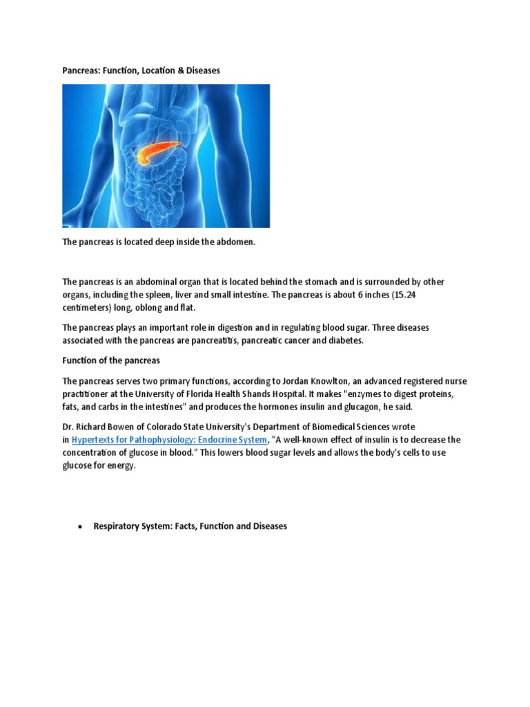 Pancreas: Function, Location & Diseases: Hypertexts For Pathophysiology ...