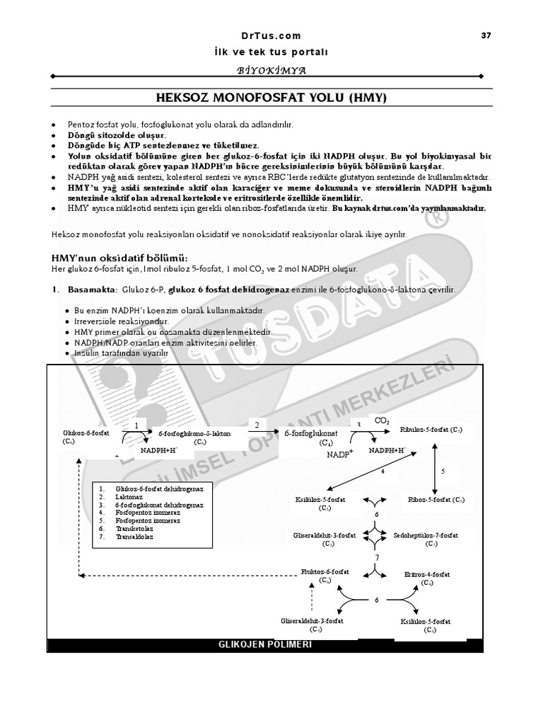 11 Hmy | PDF