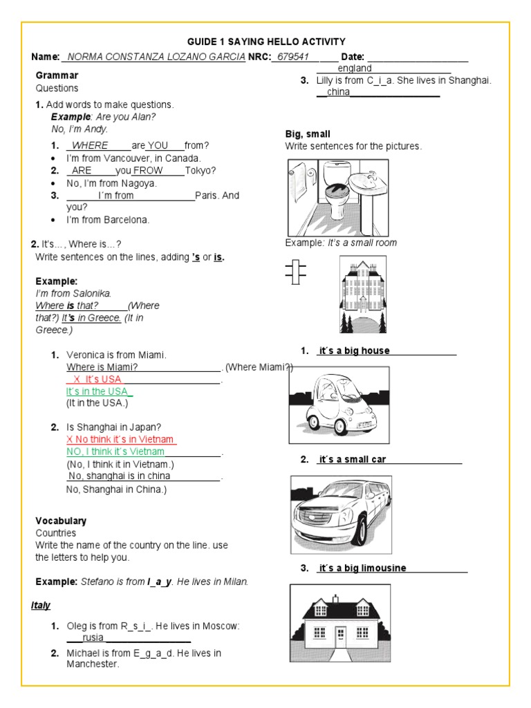 ACTIVITY 1 SAYING HELLO Correction | PDF | Semiotics | Linguistics