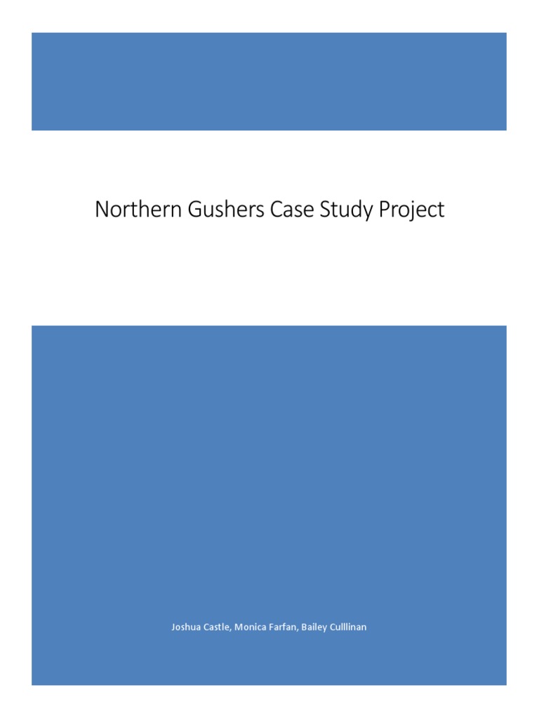 Engineering Economics Case Study | PDF | Net Present Value | Internal ...