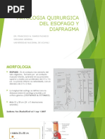 ESÒFAGO (Anatomía, Embriología, Histología y Fisiología) | PDF ...