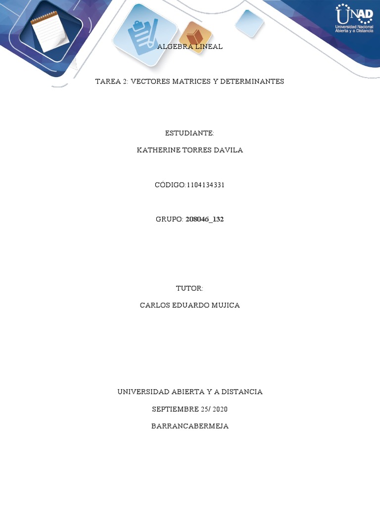 TAREA - 2 - Grupo - 132 - Algebra Lineal | PDF | Determinante | Vector Euclidiano