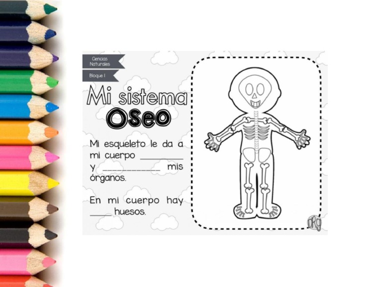 Sistema Oseo PDF | PDF