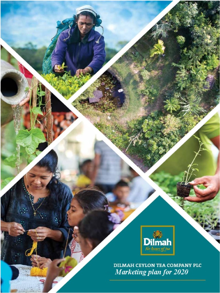 Dilmah Case Study | PDF | Market Segmentation | Pricing