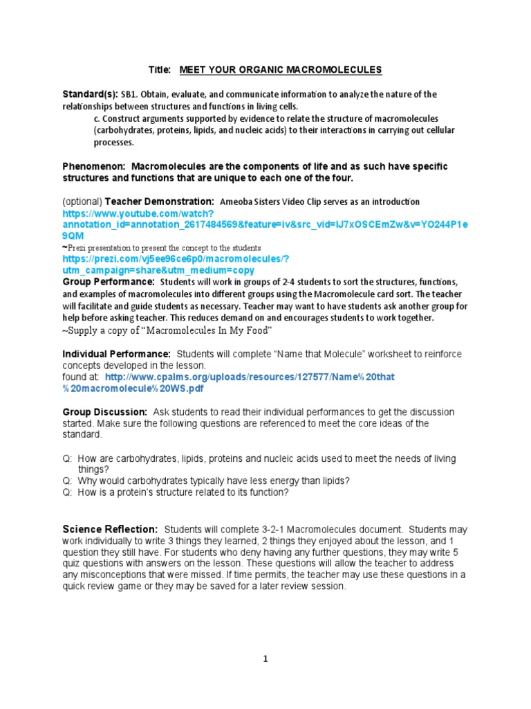 Phenoomenon - Meet Your Macromolecules Lesson Plan | PDF ...