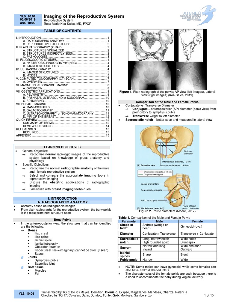 Imaging of The Reproductive System | PDF | Pelvis | Medical Ultrasound