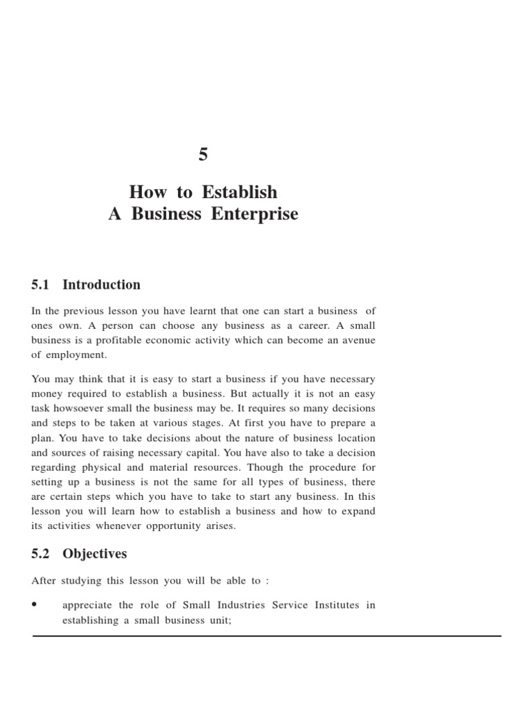5 How To Establish A Business Enterprise | PDF