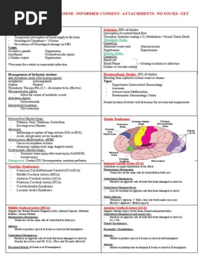 Speech Therapy Stroke Sheetd