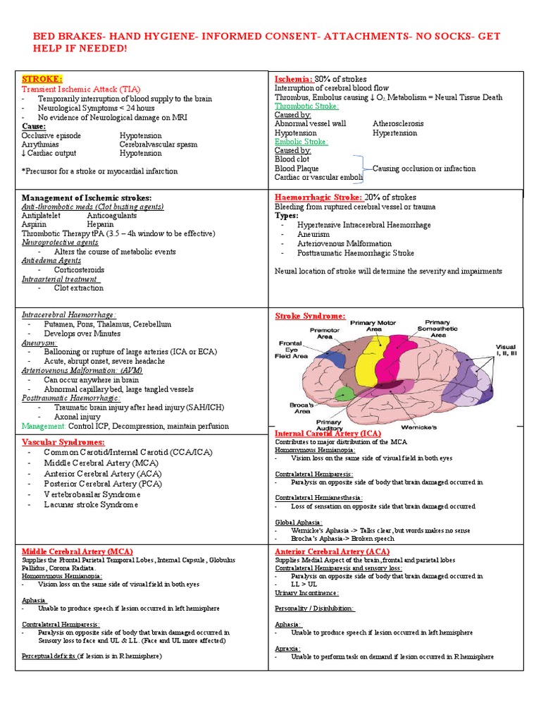 Rehab Cheat Sheet | PDF | Multiple Sclerosis | Stroke