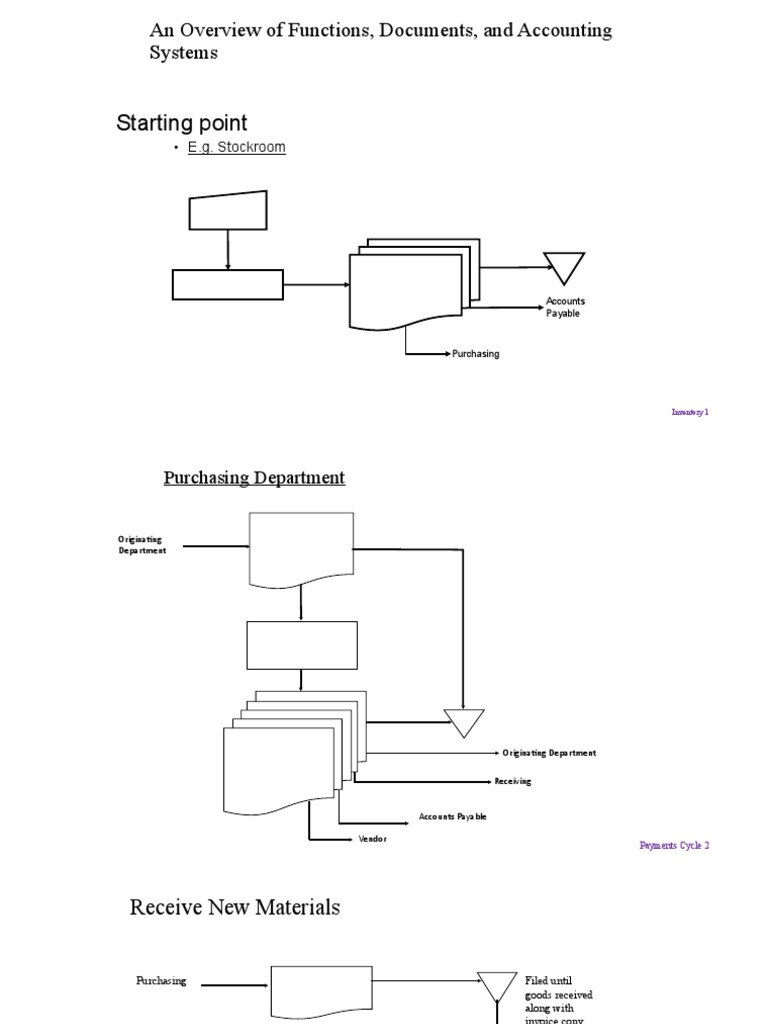 An Overview of Functions, Documents, and Accounting Systems | PDF