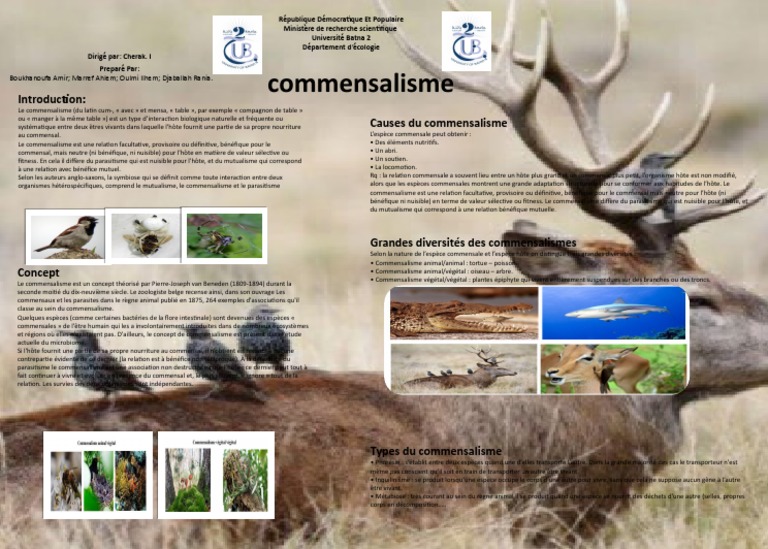 Commensalisme | PDF | Interactions biologiques | Biologie
