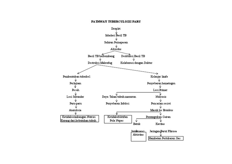 Pathway TB Paru | PDF