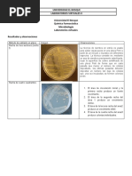 Prospecto NIFURYL | PDF | Infección del tracto urinario ...