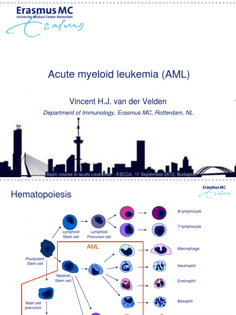 Comprehensive Immunophenotyping and Classification of Acute Myeloid ...